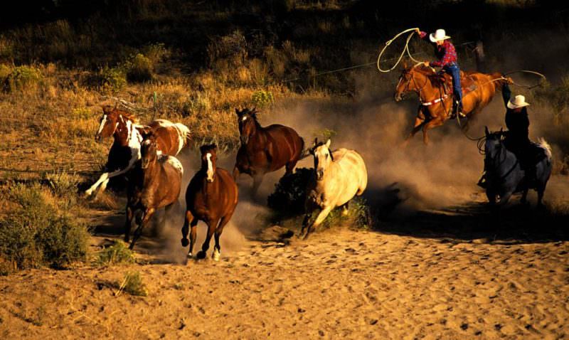 Tribe Blog: Infographics - Tribe Interactive